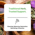 milk thistle herbal remedy for detox