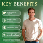 milk thistle herbal supplement benefits