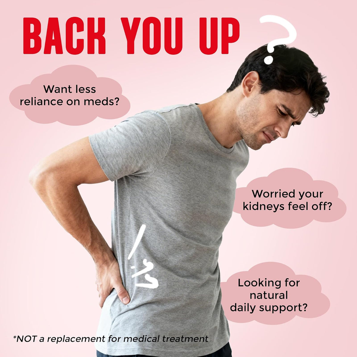 milk thistle kidney support formula