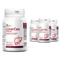 milk thistle liver support capsules