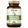 milk thistle liver support capsules