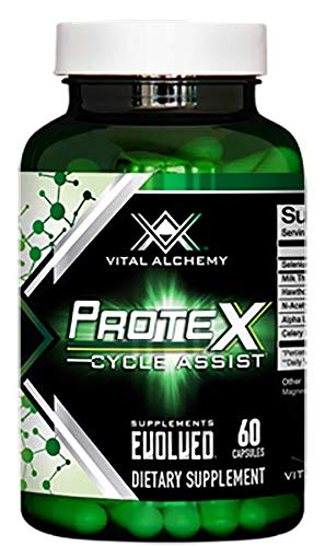 milk thistle liver support supplement
