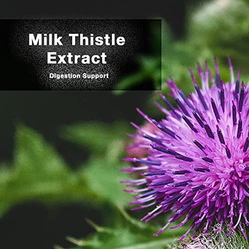 milk thistle seed extract benefits