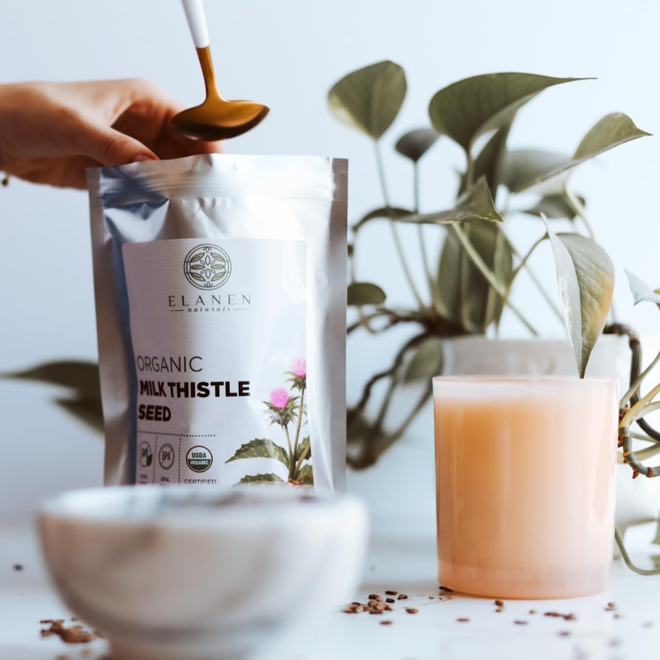 milk thistle seeds for detoxification