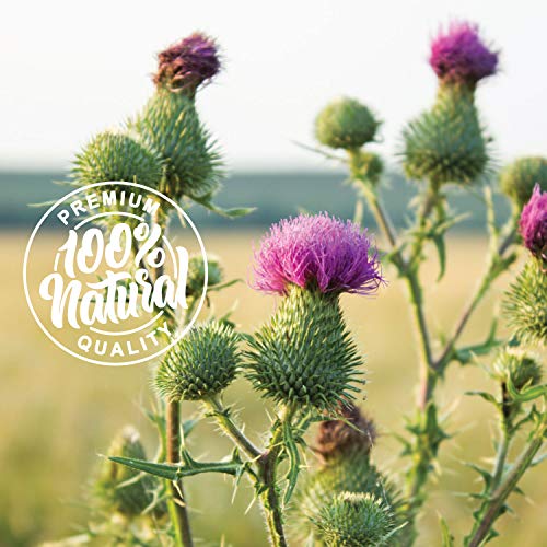 milk thistle seeds for improved liver function