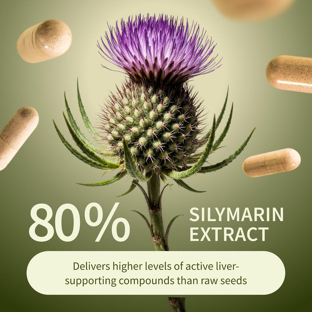milk thistle silymarin health benefits