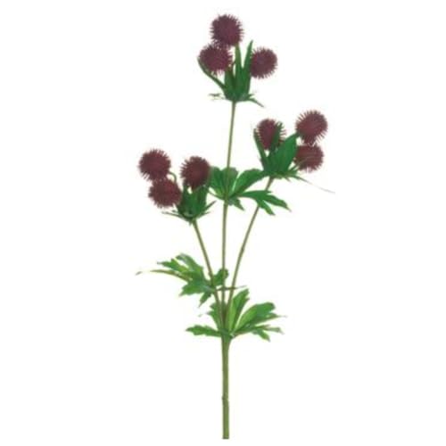 Milk thistle spray for floral arrangements