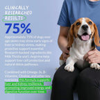 milk thistle tablets for dog health