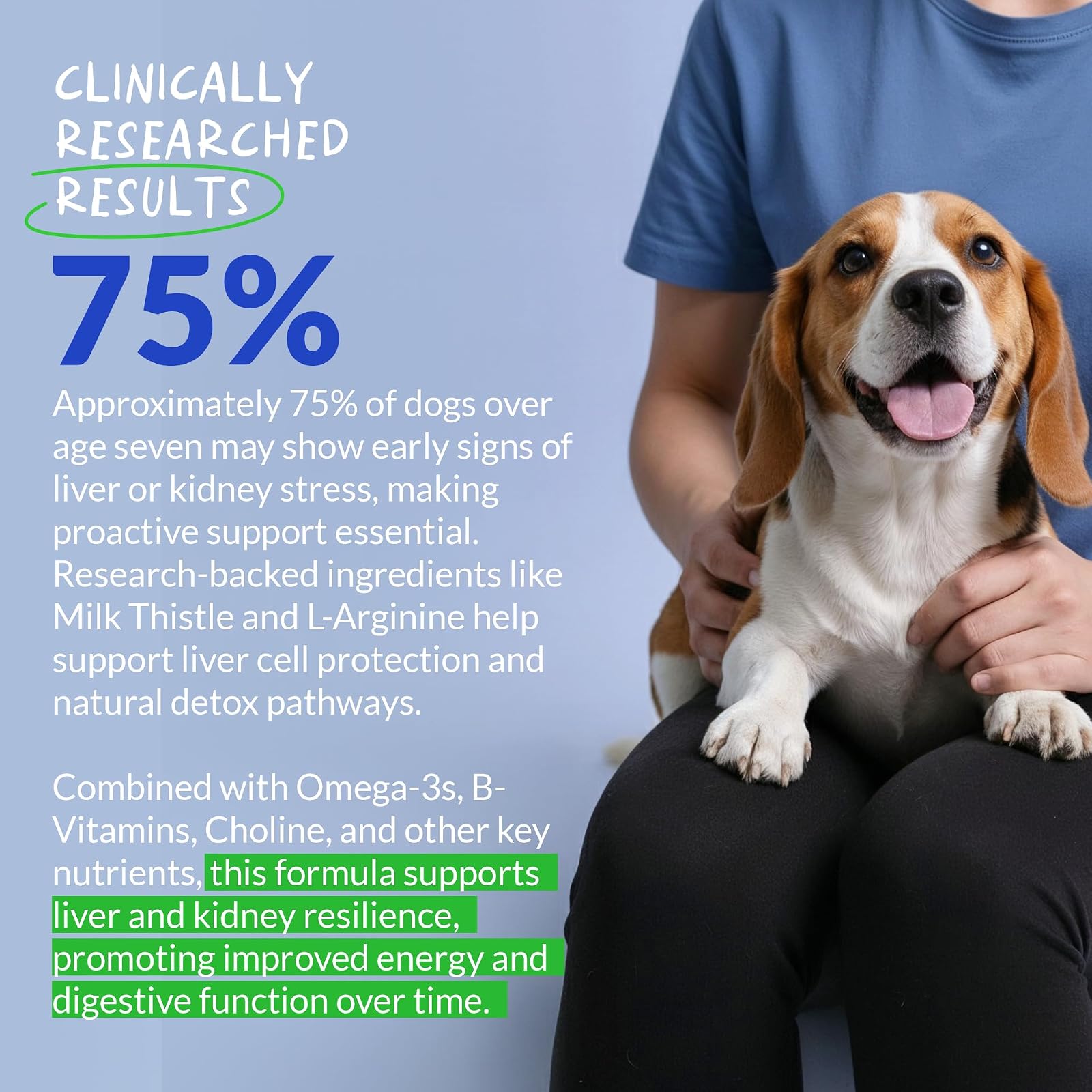 milk thistle tablets for dog health