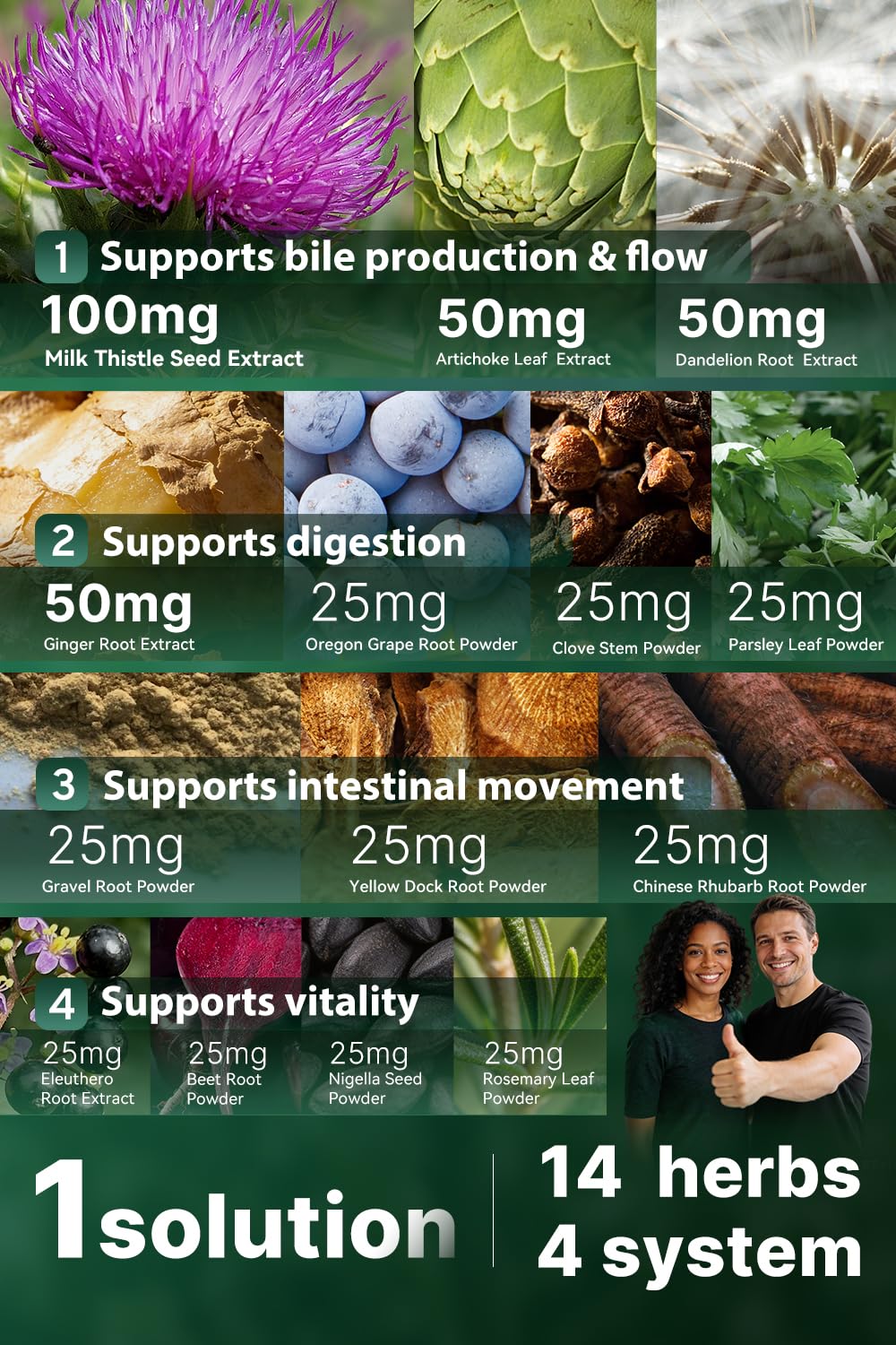 milk thistle tablets for repair