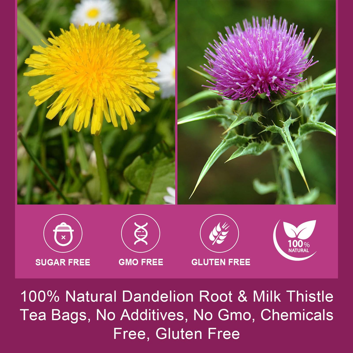 Milk thistle tea for liver health