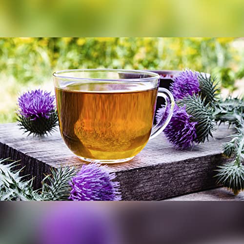 milk thistle tea for overall wellness