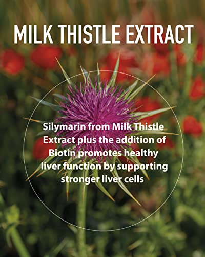 milk thistle vitamins and minerals