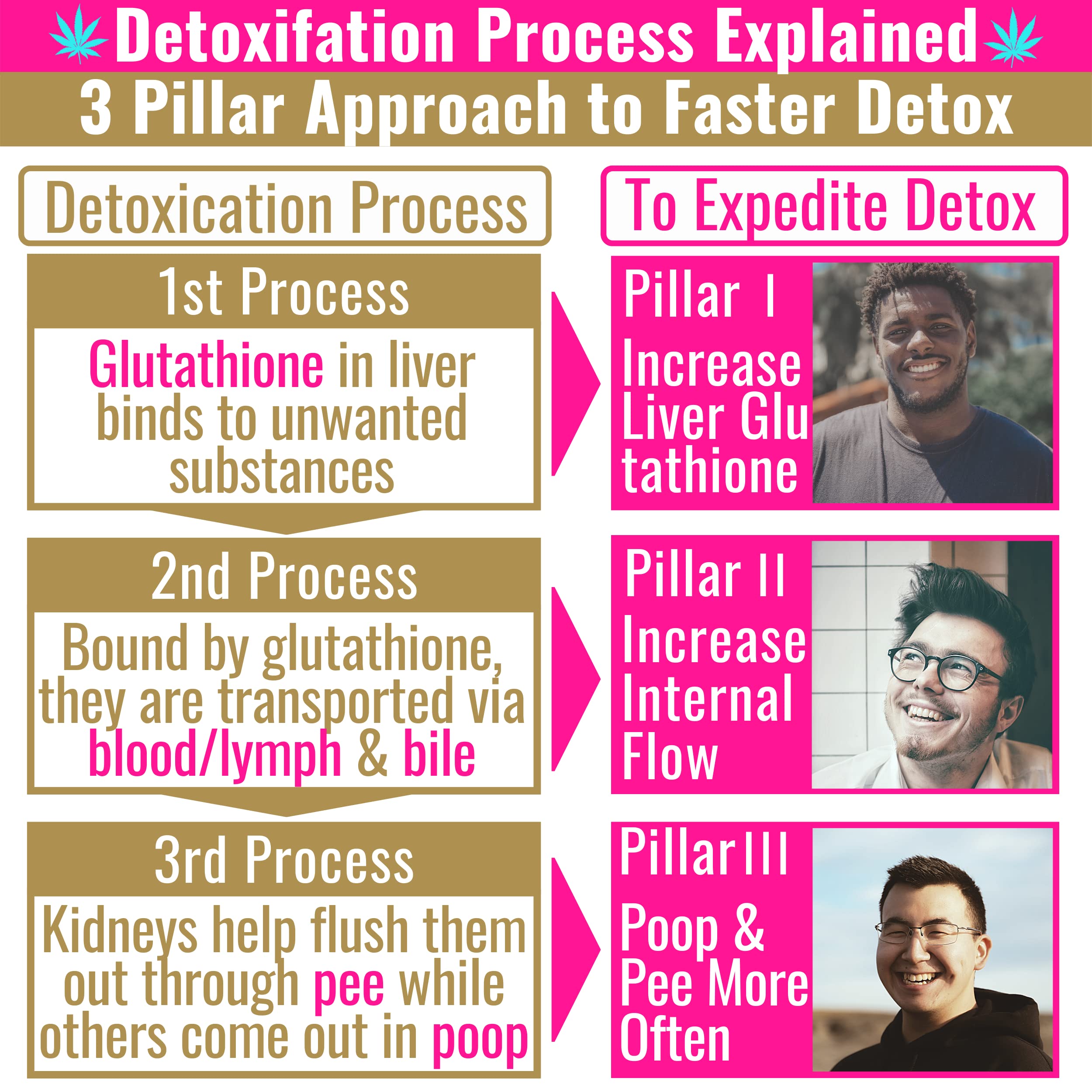 milk thistle with berberine benefits