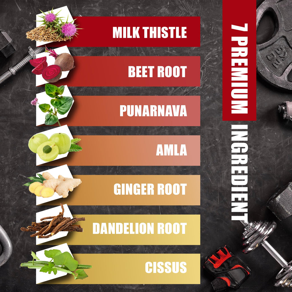 milk thistle with ginger for digestion