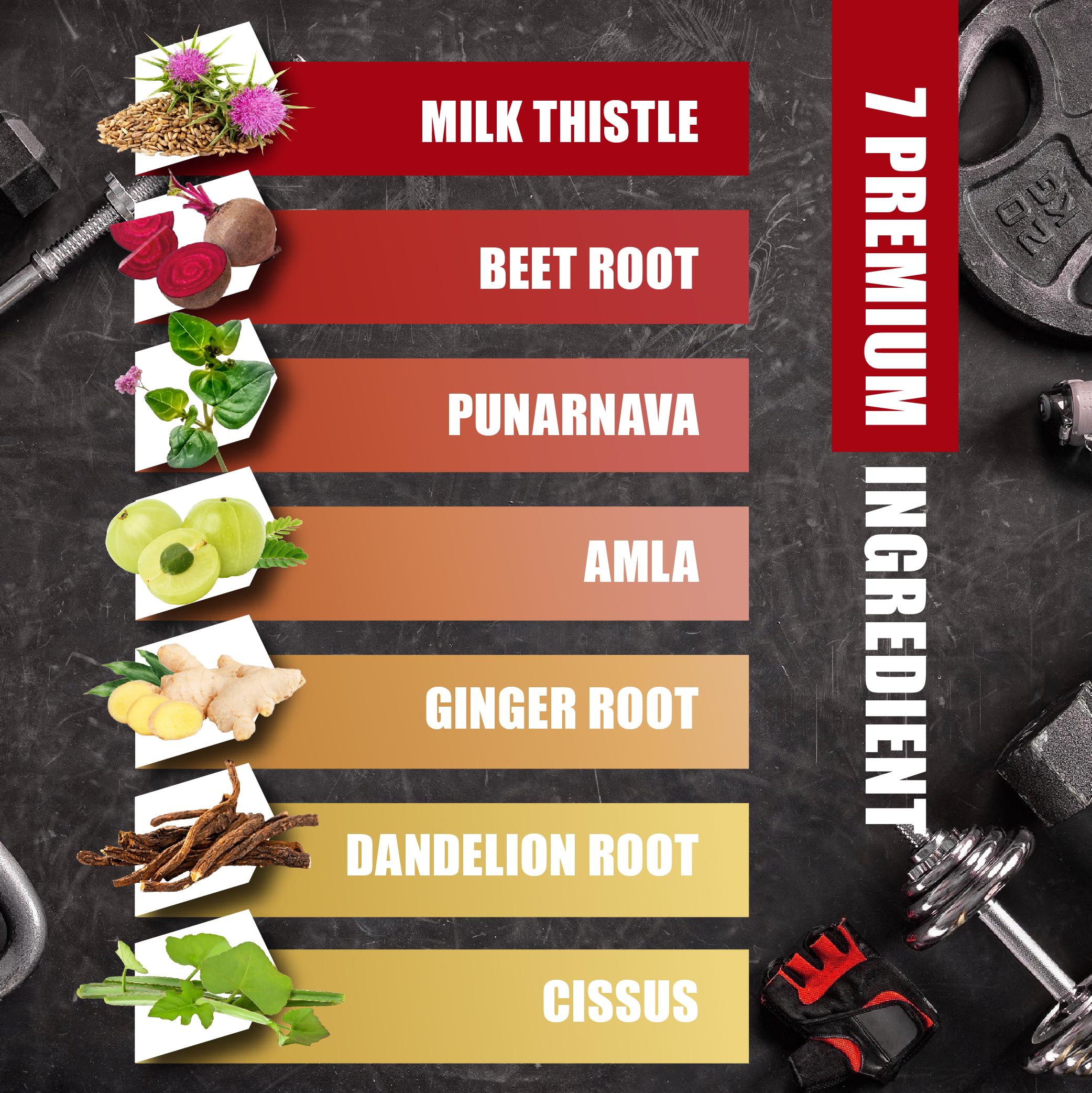 milk thistle with ginger for digestion