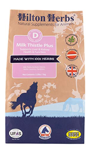 milk thistle with silymarin benefits