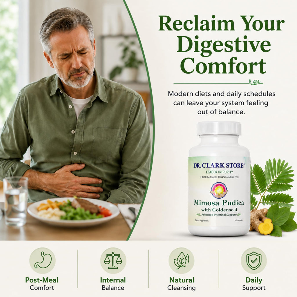 Mimosa Pudica digestive aid