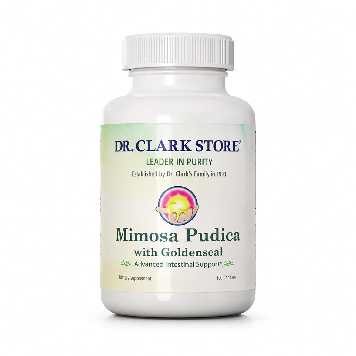 Mimosa Pudica herbal supplement capsules