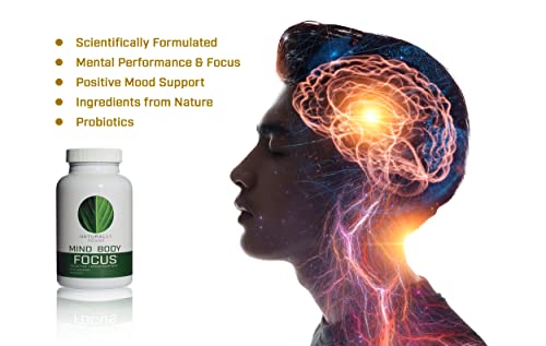 mind body focus for daily productivity