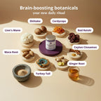 Mind Master mushroom powder for focus