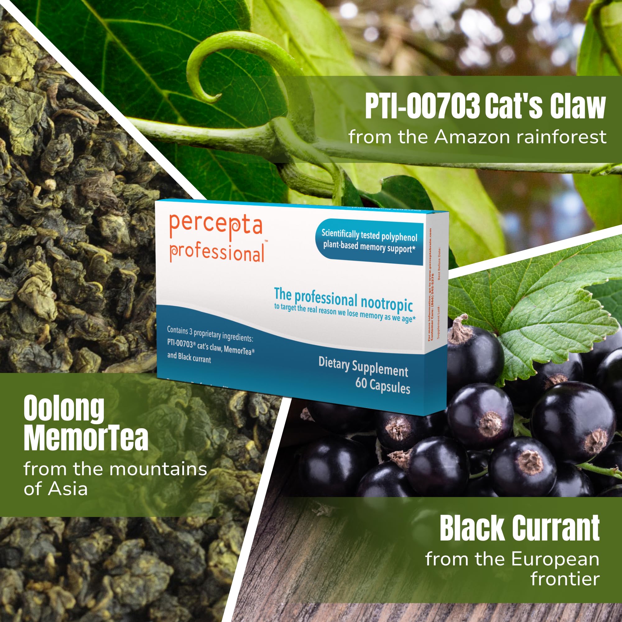 mineral formula for cognitive health