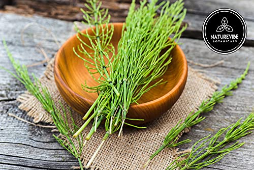 Mineral-rich horsetail herb cut