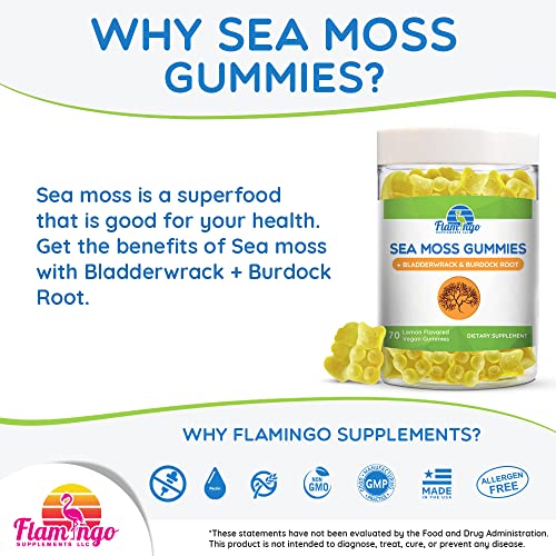 Mineral-rich sea moss for wellness