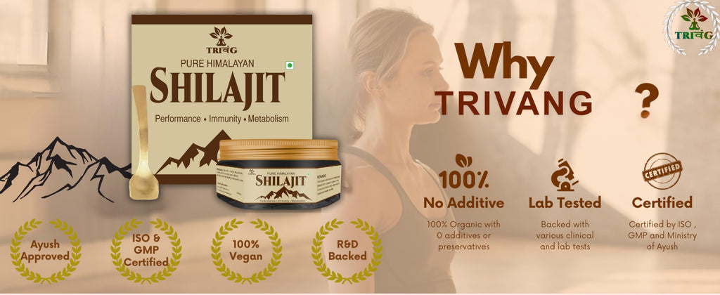 Mineral-rich Shilajit for wellness