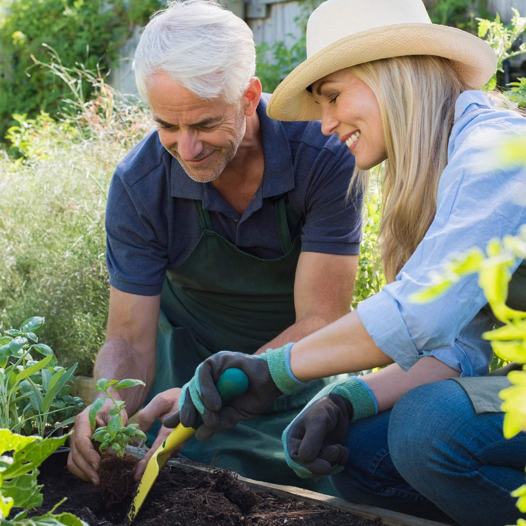mineral supplements for artery protection