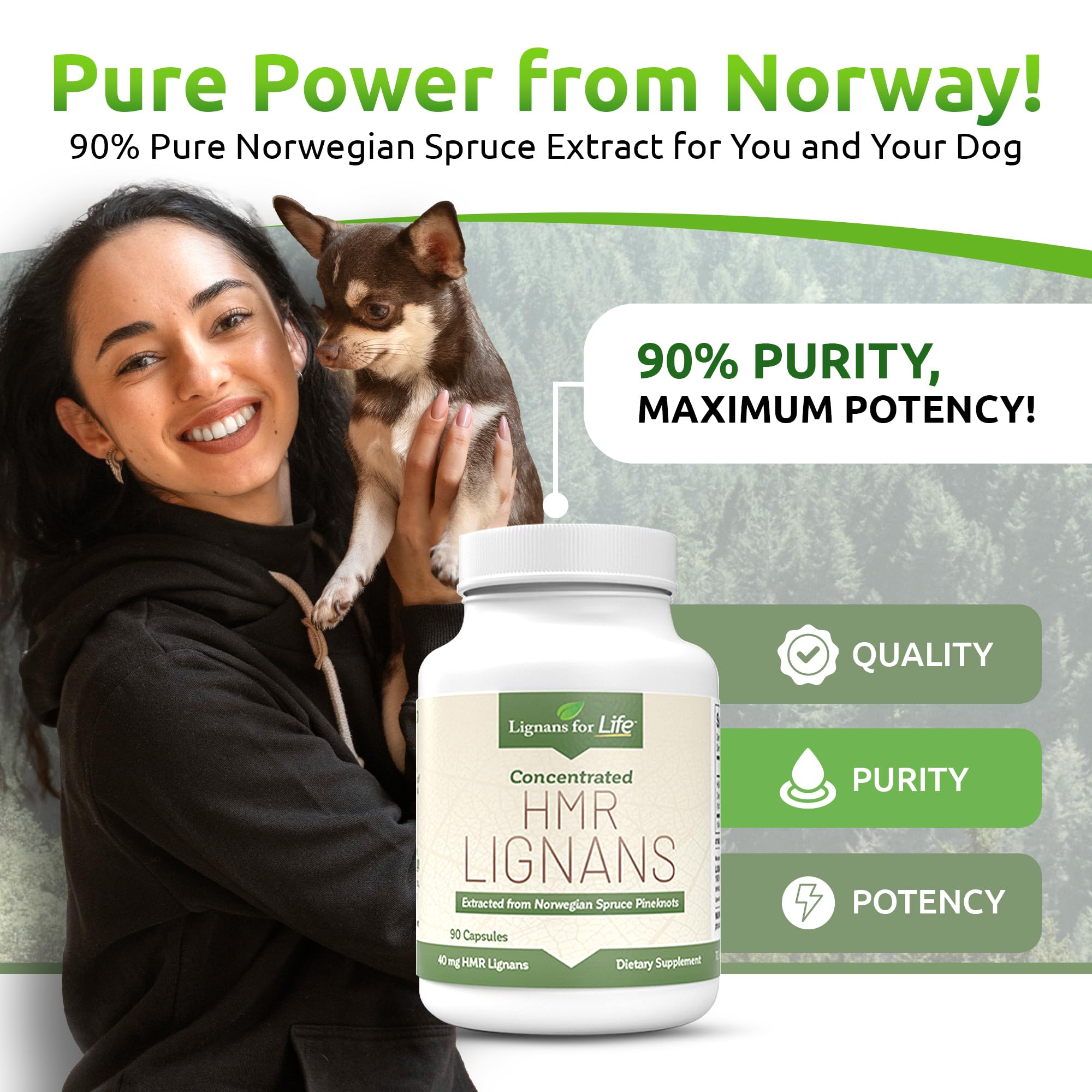 mineral supplements for dog wellness