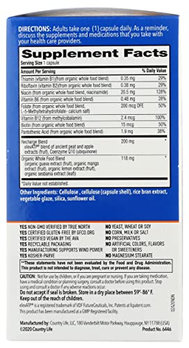 Mineral supplements for energy and wellness