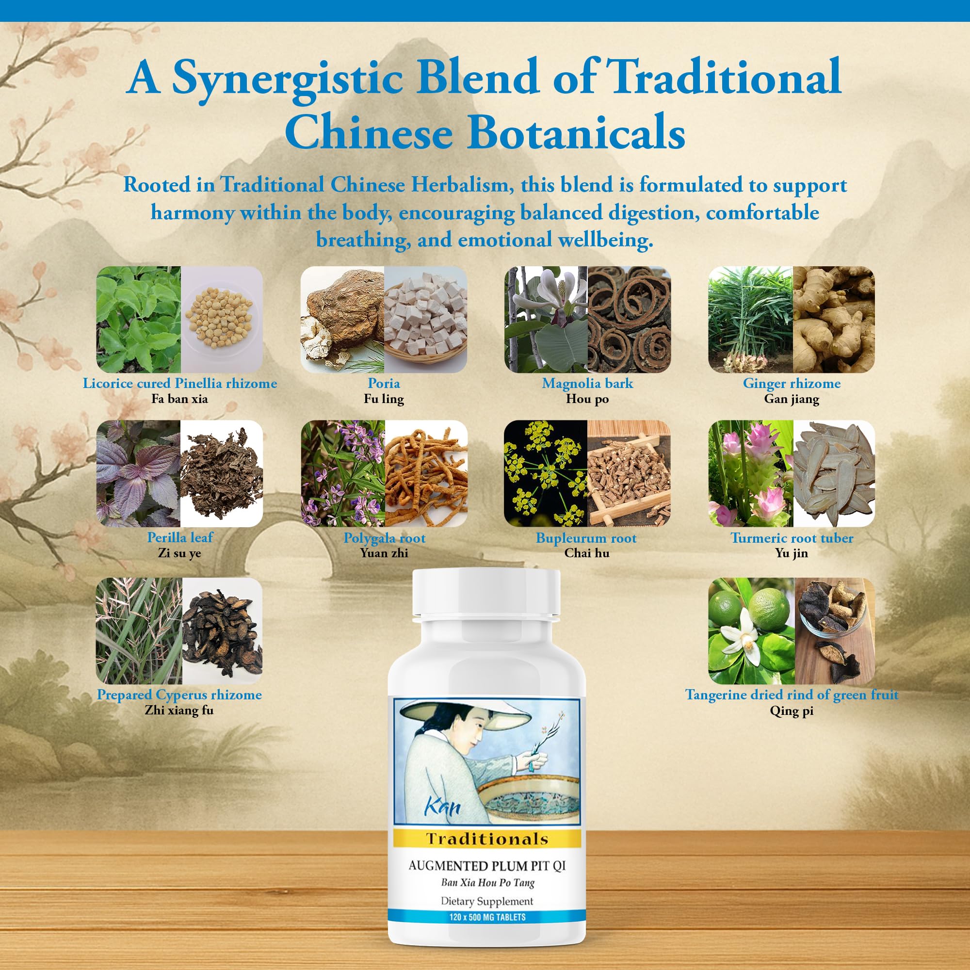 mineral supplements for holistic health
