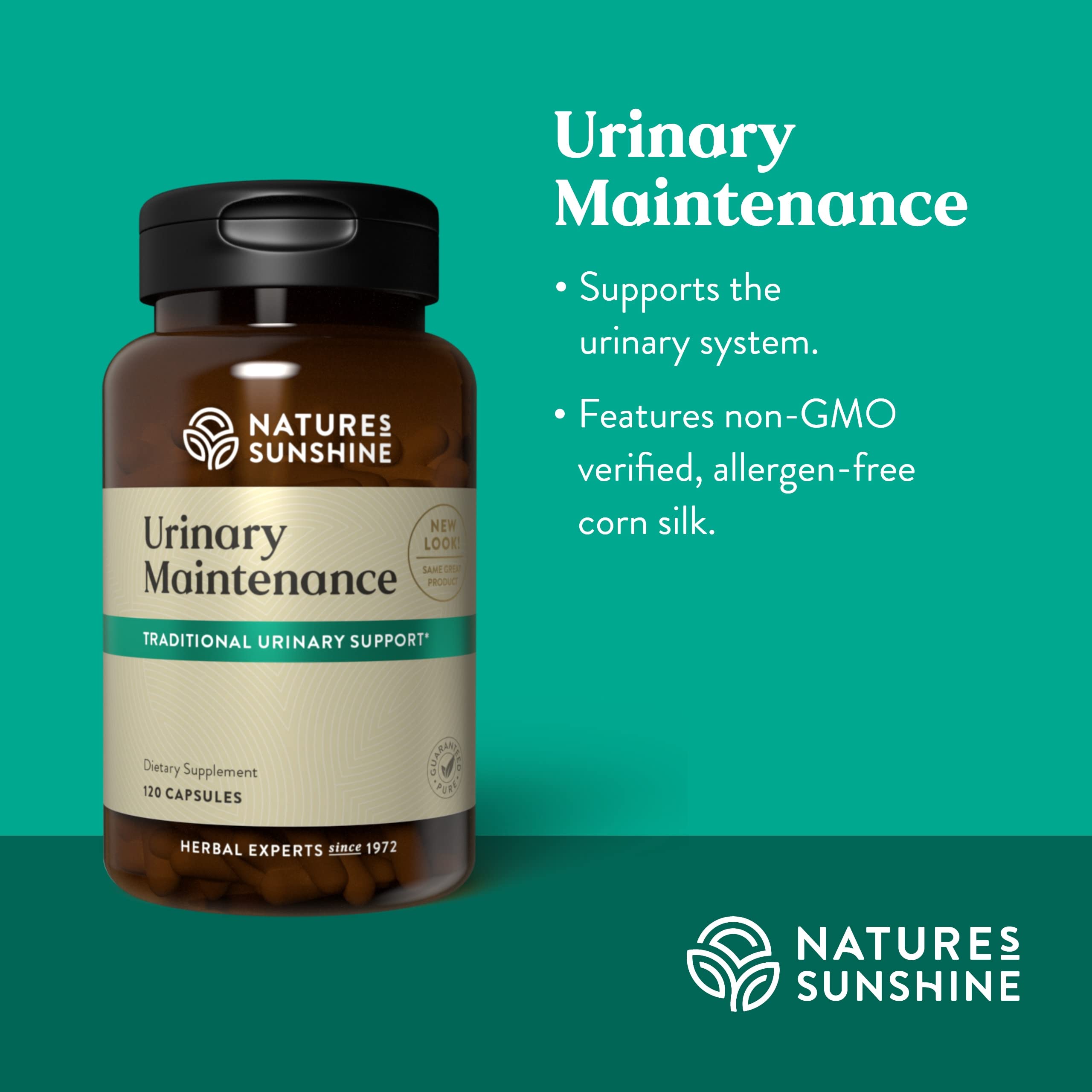 mineral supplements for kidney support