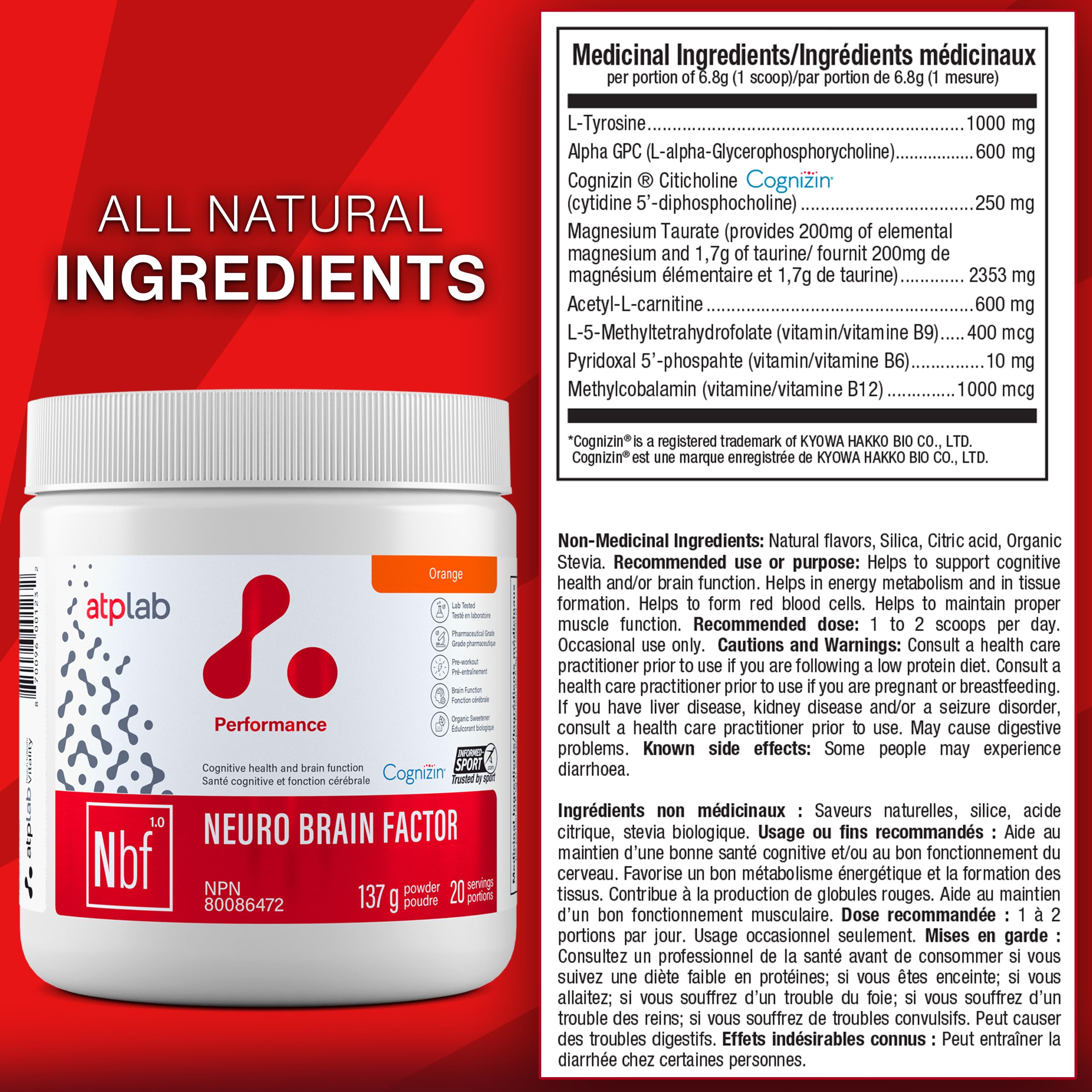 mineral supplements for mental wellness