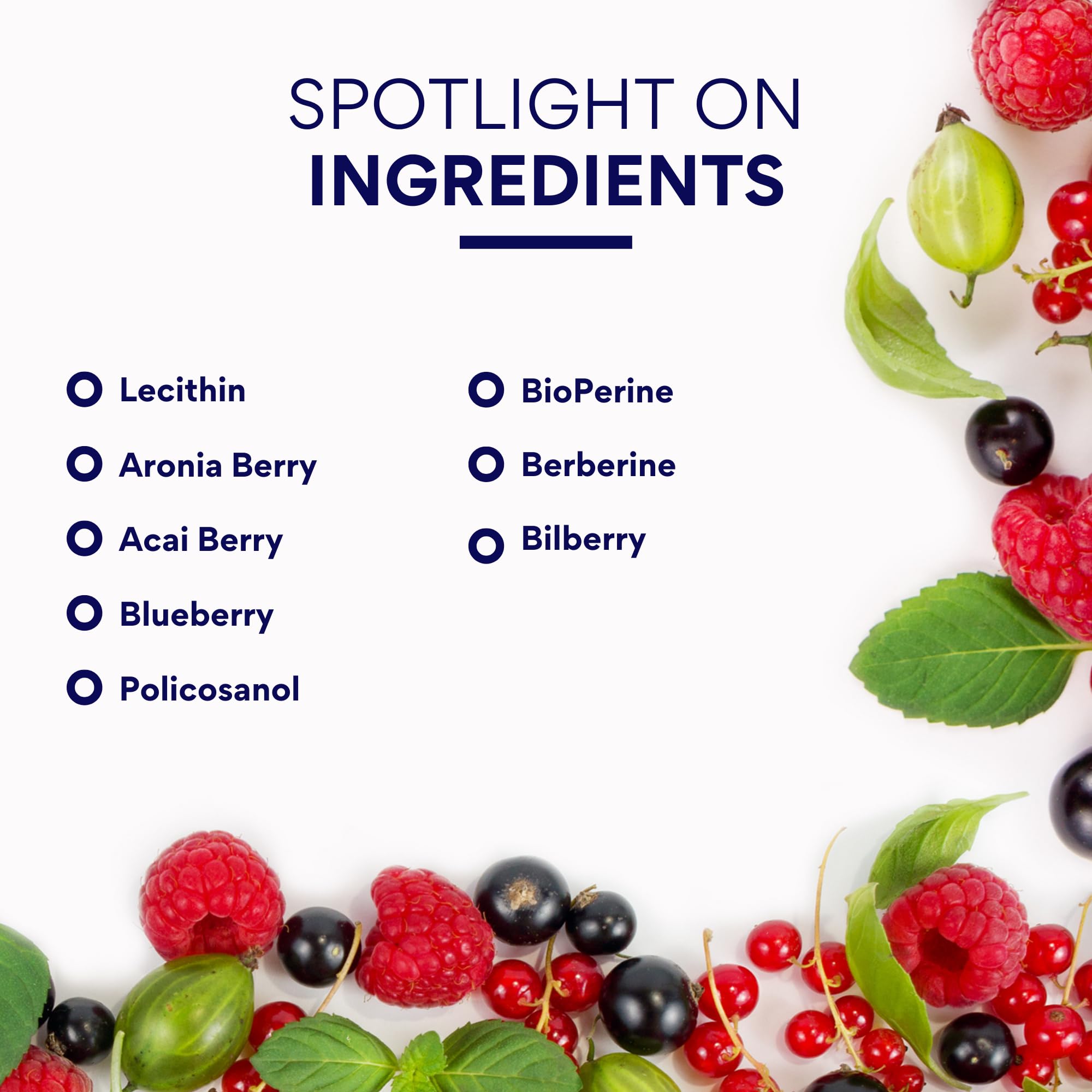 mineral supplements for overall wellness