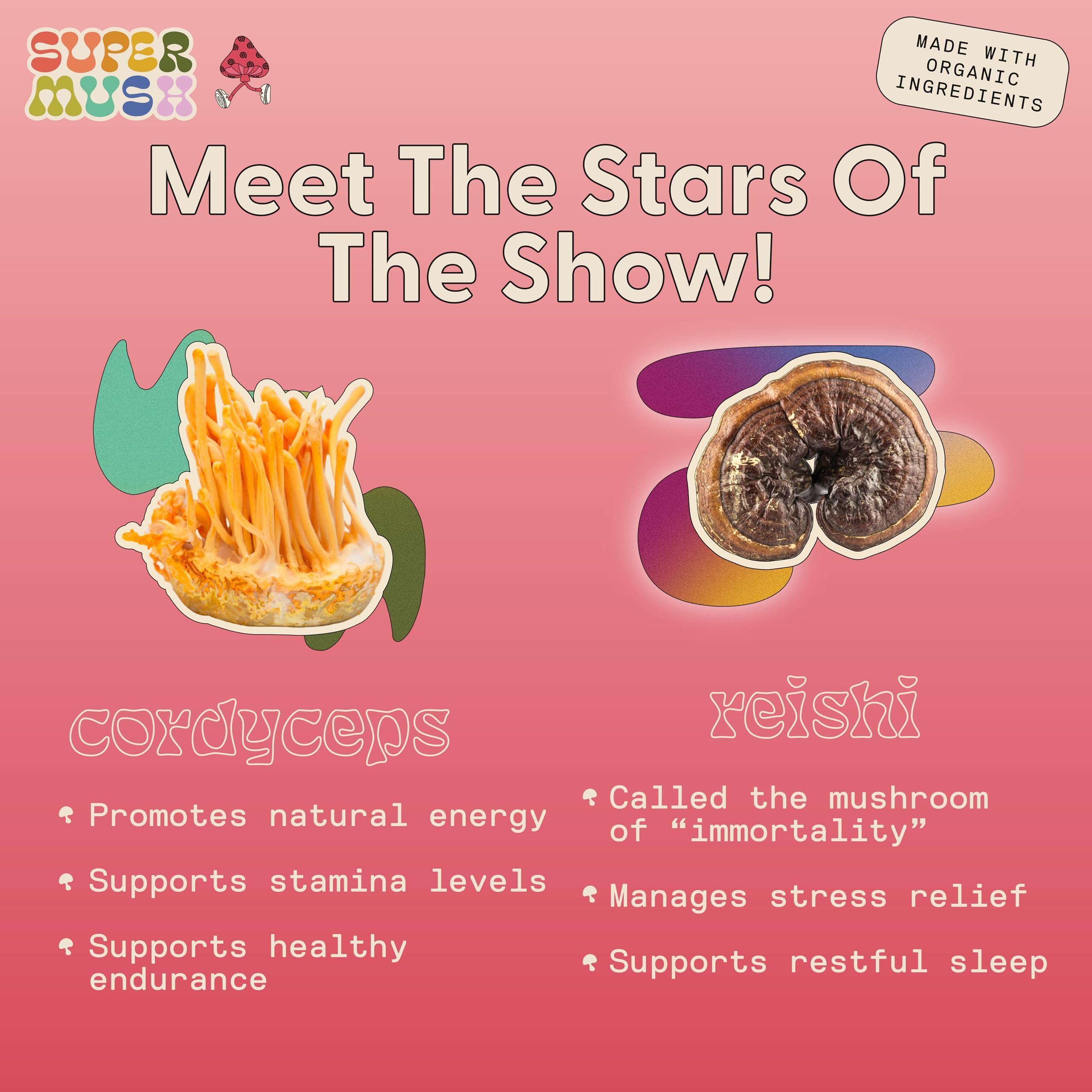 mint-flavored mushroom health supplement
