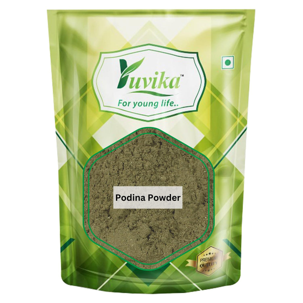 Mint leaves powder for nettle tea
