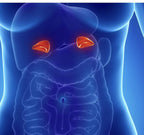 Miracle Adrenal Essence daily wellness