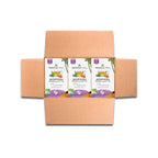 Miracle Tree organic moringa tea bags