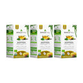 Miracle Tree organic moringa tea bags