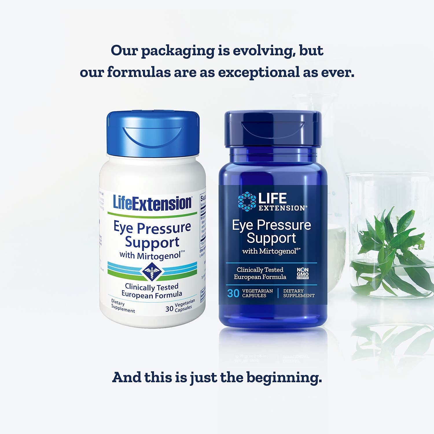 Mirtogenol for healthy vision