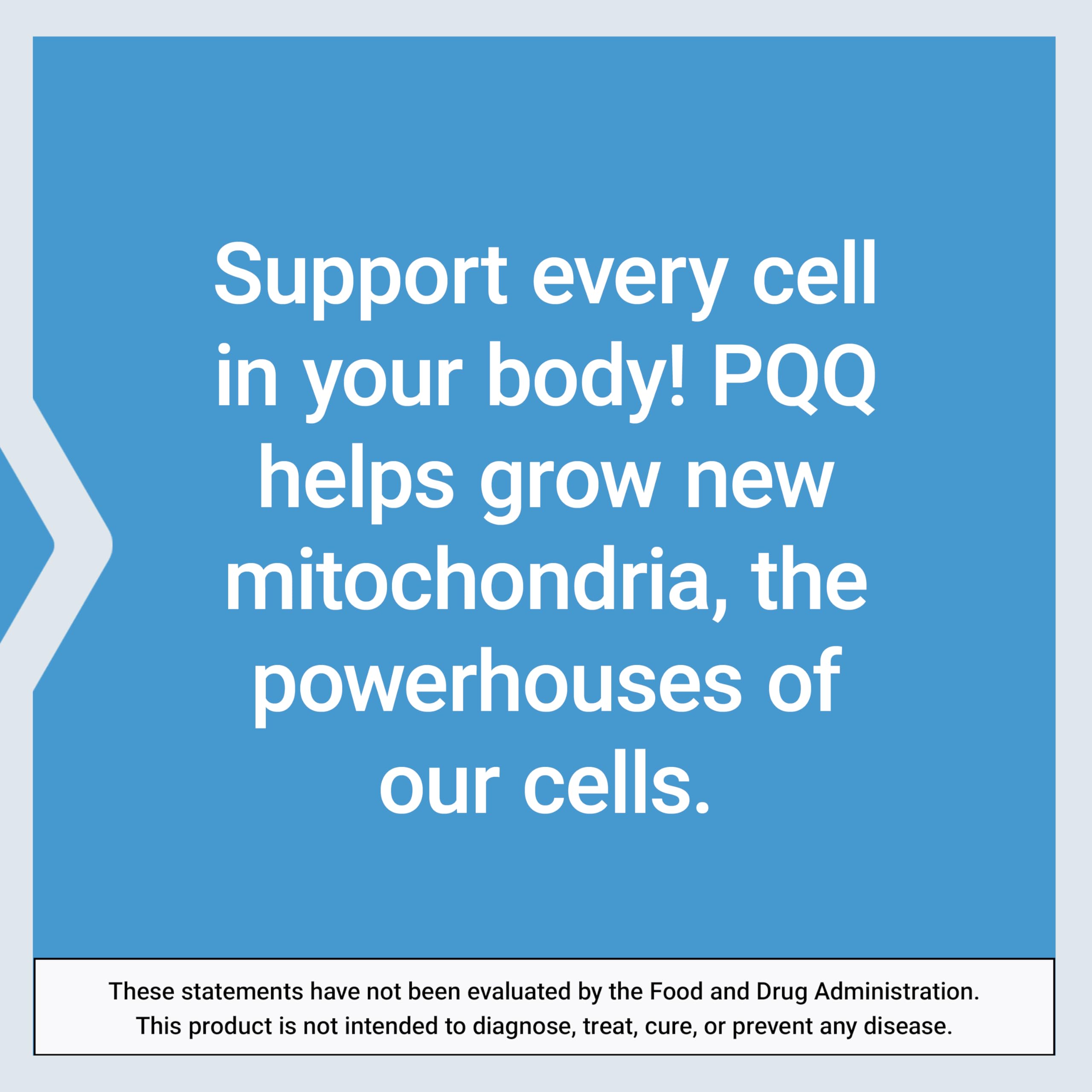 Mitochondrial support with Life Extension
