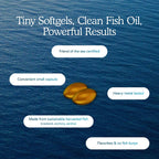 MitoQ omega-3 for daily wellness