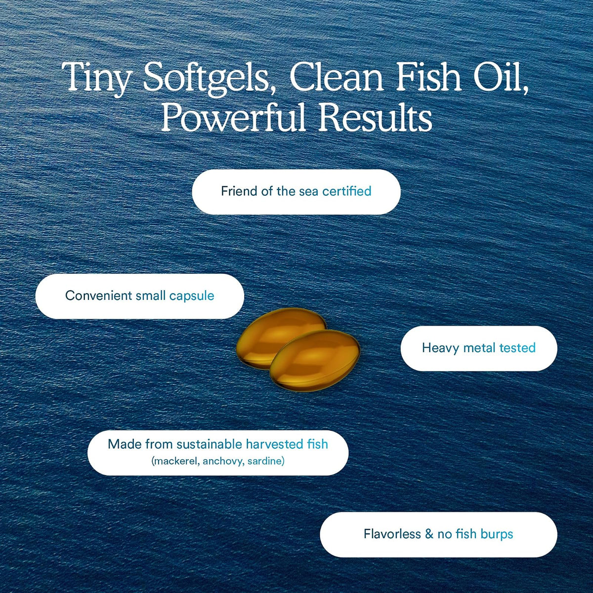 MitoQ omega-3 for daily wellness