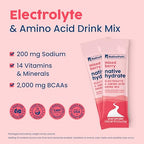 mixed berry electrolyte powder sticks