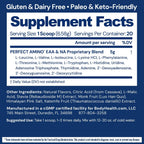 Mixed berry flavour BCAA supplement