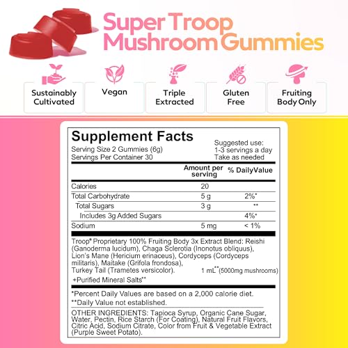 mixed berry flavour mushroom health boost