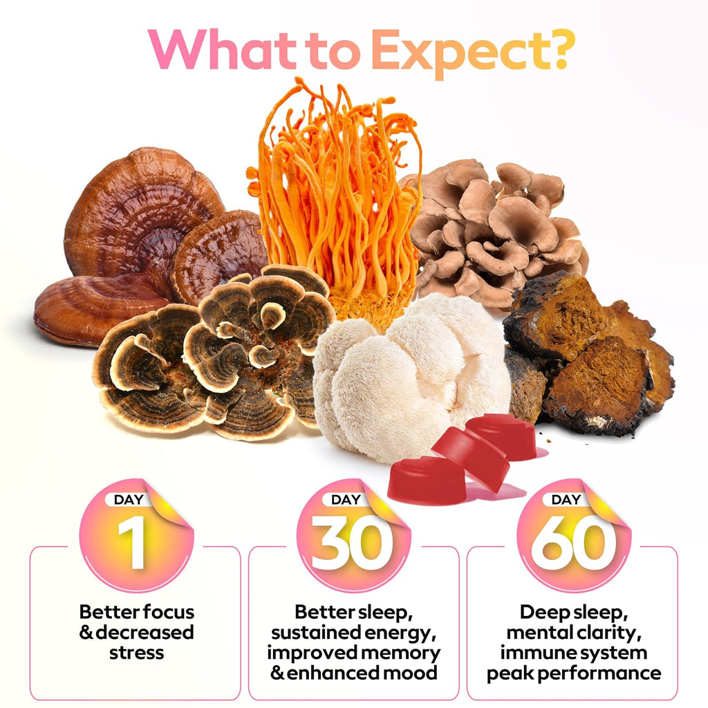 mixed berry mushroom complex supplement