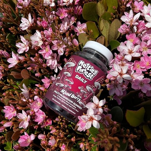 mixed berry mushroom gummies